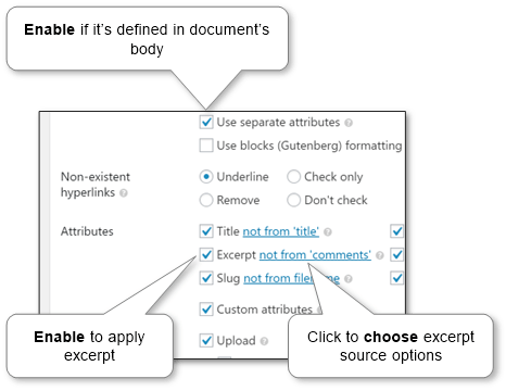 How to set excerpt - Post .DOCX Source for WordPress - Seraphinite Solutions