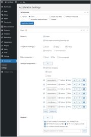 Accelerator for WordPress - Seraphinite Solutions