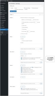 Accelerator for WordPress - Seraphinite Solutions